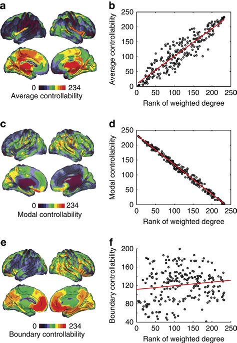 Brain Network Control Properties A Average Controllability