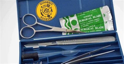 Beginning Dissection Small Online Class For Ages Outbabe