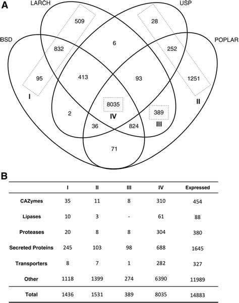 Comparative Transcriptomic Analysis Between Four Stages Of The