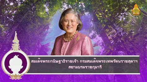 โรงเรียนตามโครงการพระราชดำริ กพด และโรงเรียนราชประชานุเคราะห์ สพป