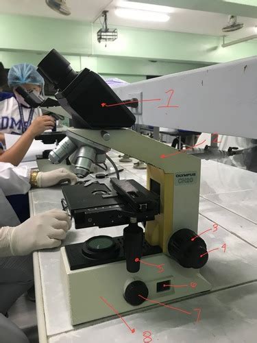 Microscopy Flashcards Quizlet