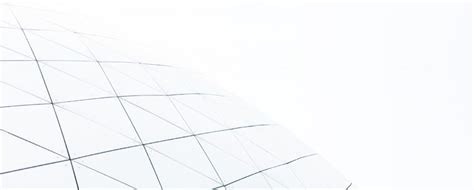 Software Implementation Management Manomay Align IT Right