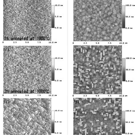 Afm Topographies 10 × 10 μ M 2 Of Mgo Substrate Surface A Before Download Scientific