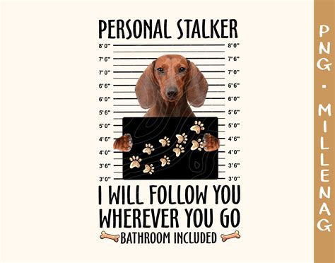 Dachshund Png Dog Mugshot Png Personal Stalker Dachshund Etsy