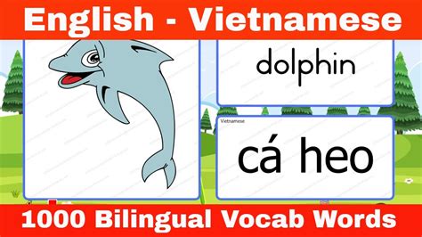 Learn English Vietnamese Vocabulary with Pictures for Beginners Học