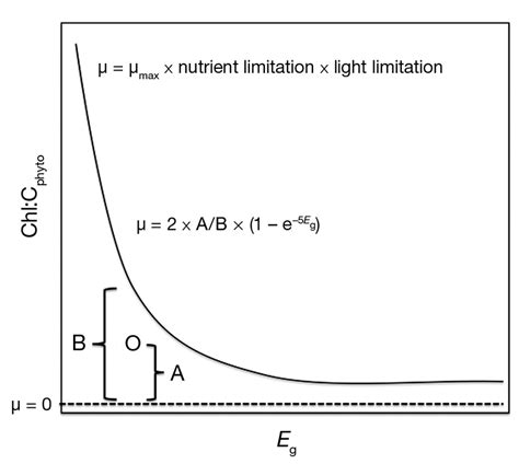 diagram of growth rate µ calculation used in the carbon based