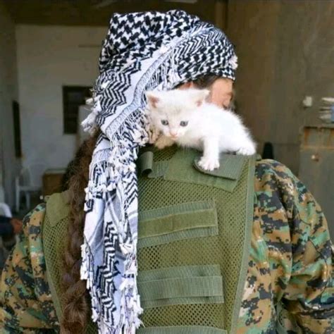 Dania دانیا🖤 Youtube