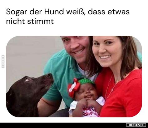 Sogar Der Hund Weiß Dass Etwas Nicht Stimmt Debestede