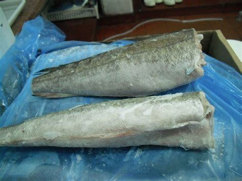 HAKE United States Price Supplier Food