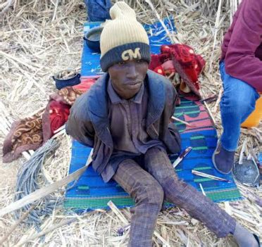 Kidnappings Police Arrest One Recover Cows In Kano