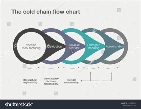 Cold Chain Flow Chart Vaccine Distribution Stock Illustration 1852696378