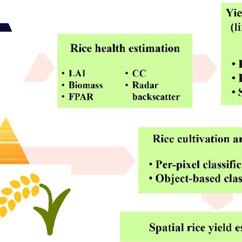 pdf remote sensing based estimation of rice yields using various