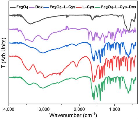 Ft Ir Spectrum For Fe3o4 Fe3o4 L Cys Fe3o4 L Cys Dox Dox And L Cys
