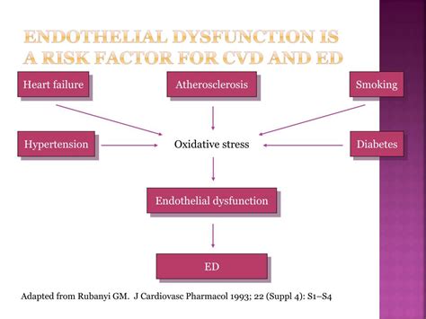 Ppt Sex Hormones Powerpoint Presentation Free Download Id2192651