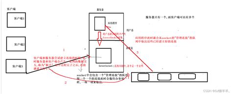 网络基础编程 TCP协议 阿里云开发者社区