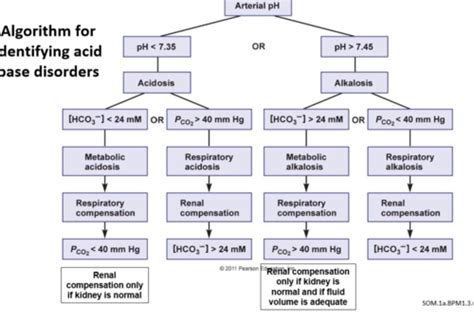 Acid Base Disorders Flashcards Quizlet