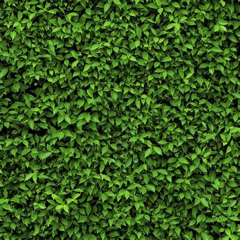 Papel De Parede Muro Verde Definido Com Plantas Fácil E Prático Gh