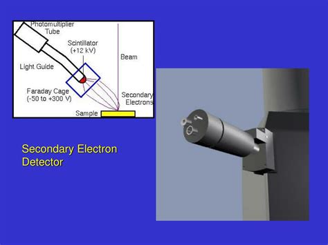 Ppt Conventional Sem Powerpoint Presentation Free Download Id 547367