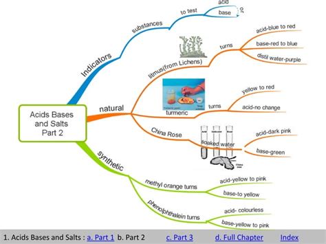 7 Class Science Sample Mindmaps Pptx