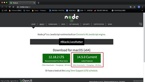 mac 安装 node js 及环境配置 mac 安装nodejs csdn博客