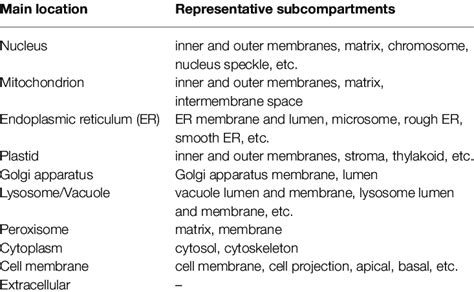 Representative Subcellular Locations Covered By Predictors For Download Scientific Diagram