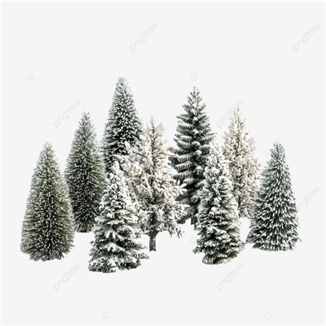 눈 속에서 축제 크리스마스 트리 크리스마스 트리 눈 장식품 Png 일러스트 및 이미지 에 대한 무료 다운로드 Pngtree