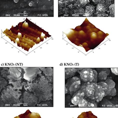 Sem And Afm Micrographs Of The Ppy Deposited By The Chronoamperometry Download Scientific
