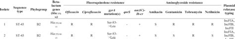 Resistance Genes Sequence Types Other Antibiotic Resistance Gene Download Scientific Diagram