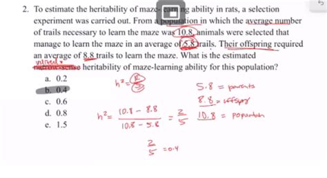 Genetics Exam 2 Flashcards Quizlet