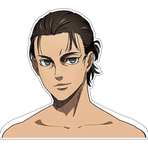 Attack On Titan Mikasa Six Pack