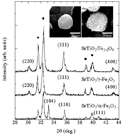 X Ray Diffraction Patterns Of Srtio3 Fe 3−δ O4 Srtio3 γ Fe2o3 And