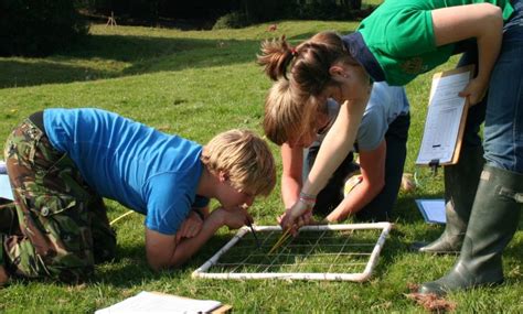 Fieldwork In The School Grounds Geography South West