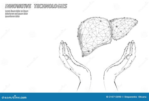 Liver Polygonal Horizontal Banner Hepatitis Low Poly Symbol For Head