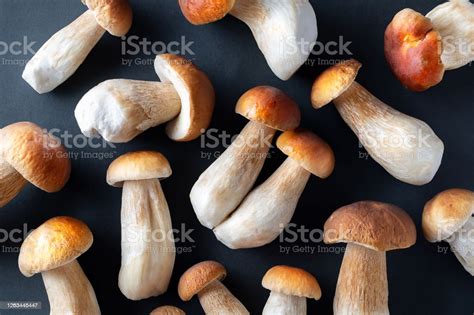 볼레투스 버섯 어두운 배경에 신선한 로얄 포르치니 버섯 맨 위 보기입니다 0명에 대한 스톡 사진 및 기타 이미지 0명 가을 건강한 식생활 Istock