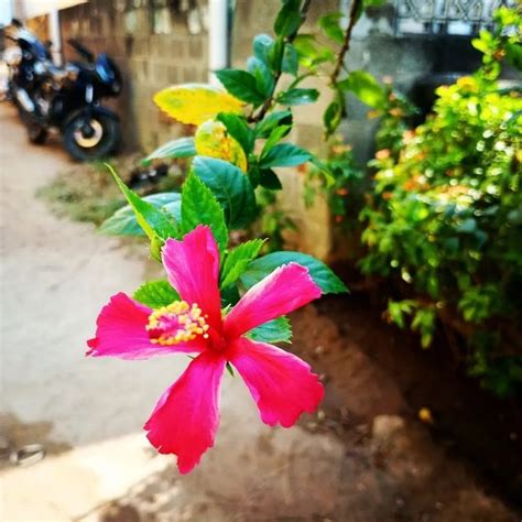 Sankari G Sankarig1 On Threads