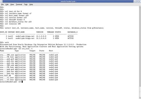 Creating 11g R1 Rac Database On Asm
