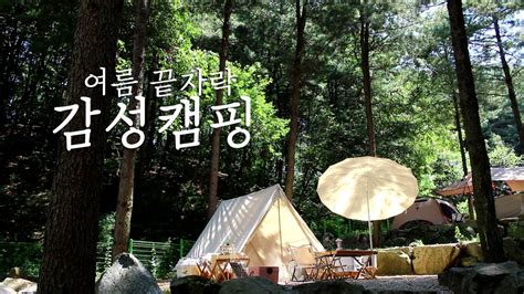 가을의 문턱에서숲속캠핑ㅣ마지막 여름캠핑ㅣ감성캠핑ㅣ노르디스크 비무르56ㅣ이케아 삼쇠 파라솔ㅣ캠핑요리ㅣ캠핑메뉴ㅣ소팔소곱창ㅣcampingㅣ따뜻한오늘 Youtube