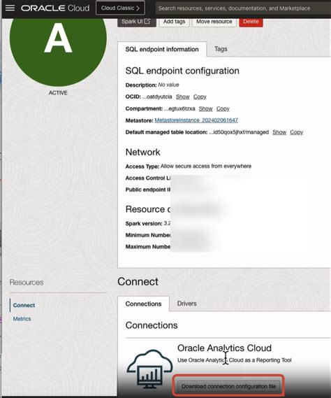 download jdbc connection details for data flow sql endpoints to a json file