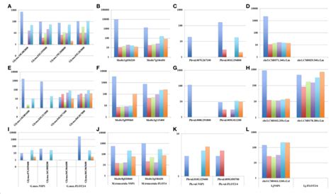 Relative Expression Levels Of NF YA AD NIN EH NSP And Download Scientific Diagram