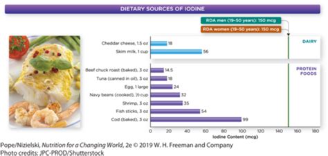 Chapter Lecture Flashcards Quizlet