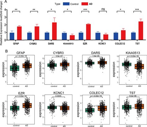 validation of the eight feature genes expression between control and ad