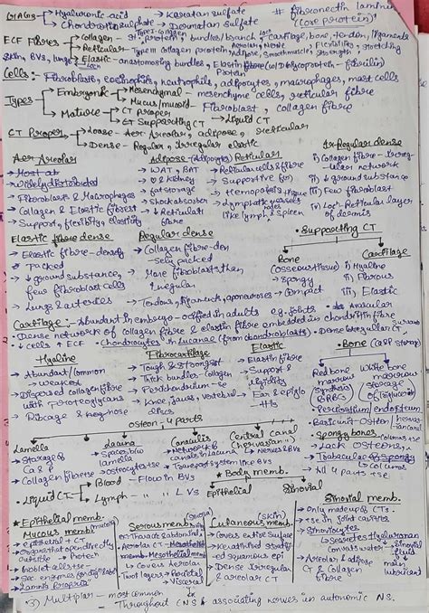Solution Physiology Cheatsheet Studypool