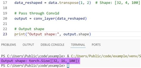 Pytorch Conv D