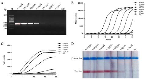 Rapid And Sensitive Detection Of Streptococcus Iniae In Trachinotus Ovatus Based On Multienzyme