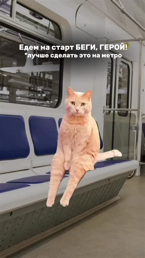 Полумарафон Беги герой Ruts Серия урбан трейлов Ruts Run Помните мы рассказывали вам про