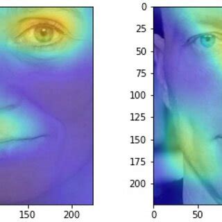 Illustrative Heat Maps For Males And Females Note These Pictures Download Scientific Diagram
