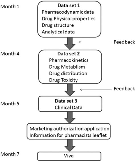 The Flow Of Data Presented To Babes Download Scientific Diagram