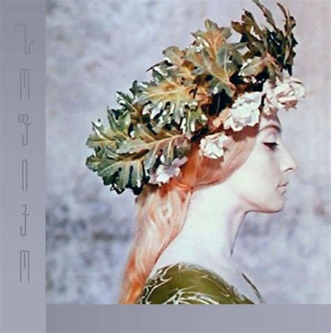 სსიპ სოფიკო ჭიაურელის სახელობის ქალაქ თბილისის N54 საჯარო სკოლა Added A სსიპ სოფიკო