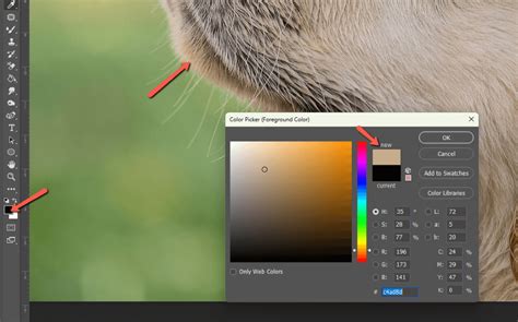 How To Use The Background Eraser Tool In Photoshop