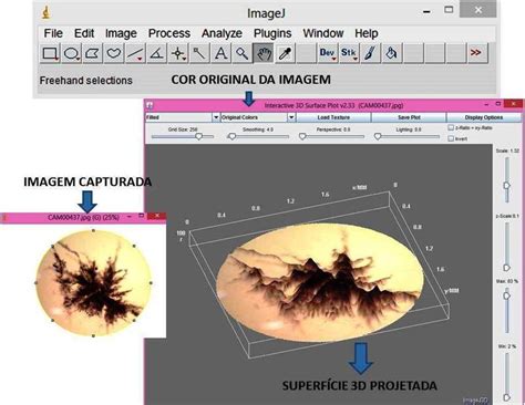 Interactive 3d Surface Plot Image J Download Scientific Diagram